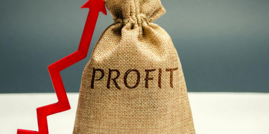 Affordable Housing Law Enables AirBNB Profiteering - Lakewood, CO Bird ...
